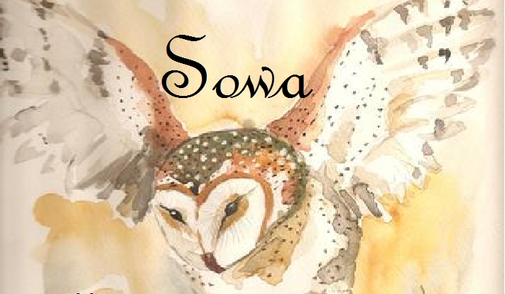 Sowa #1 | sameQuizy