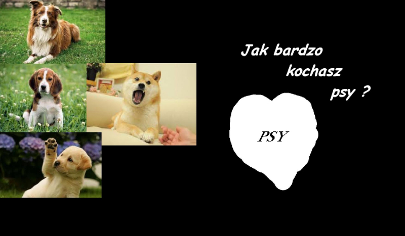 Jak bardzo kochasz psy? | sameQuizy