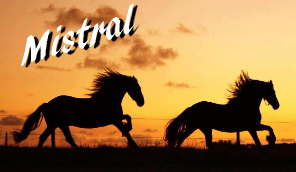 Mistral #2 | sameQuizy