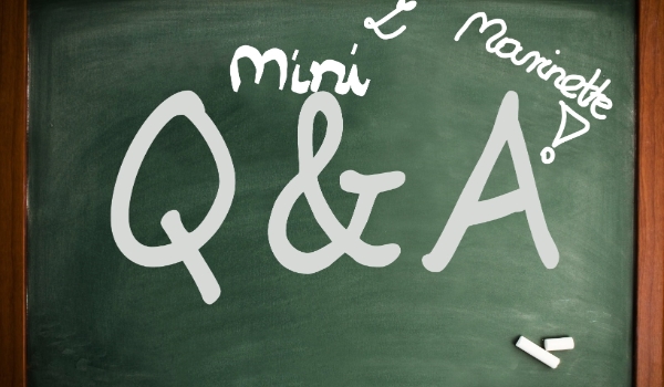 Mini Q&A #2 | sameQuizy