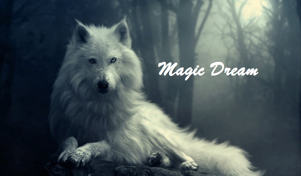 Magic Dream #prolog | sameQuizy