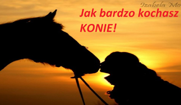 Jak bardzo kochasz konie ! | sameQuizy