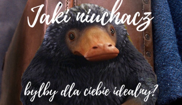 Jaki niuchacz byłby dla Ciebie idealny? | sameQuizy