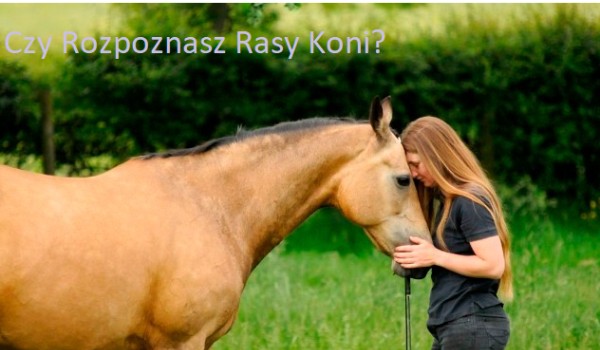 Czy Rozpoznasz Rasy Koni? | sameQuizy