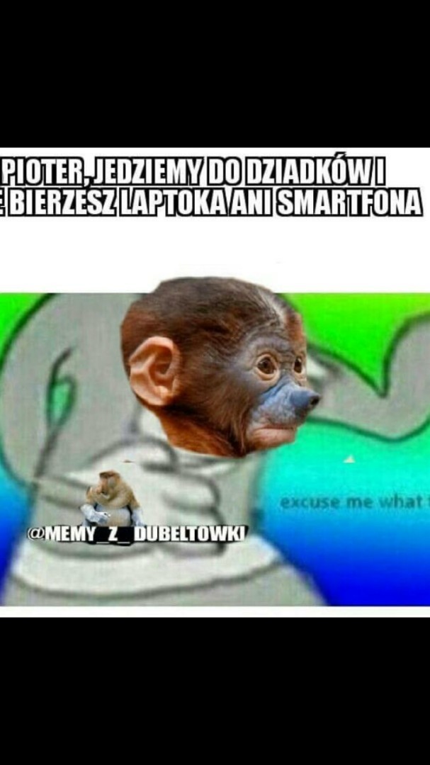 memy o Januszu- śmieszne albo nie śmieszne! | sameQuizy