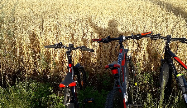 cooooooooooooooo | sameQuizy