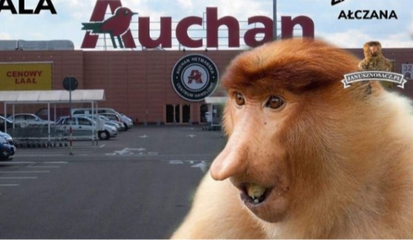 Jaka będzie twoja pierwsza ocena w roku szkolnym? | sameQuizy