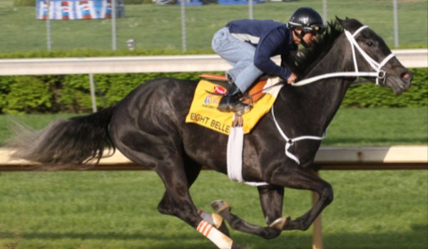 Końskie Legendy ~ Eight Belles | sameQuizy