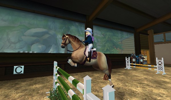 WIELKI TEST STAR STABLE | sameQuizy