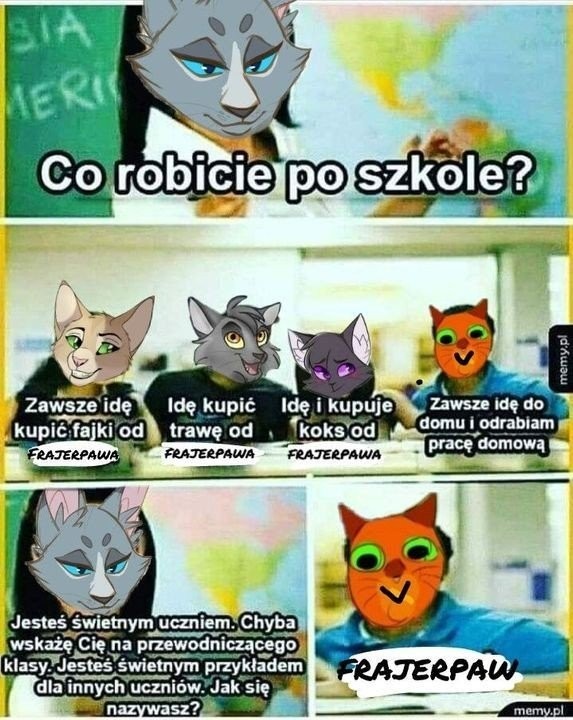 Wojaki memy | sameQuizy