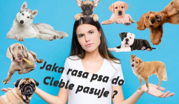 Jaka rasa psa do Ciebie pasuje ? | sameQuizy