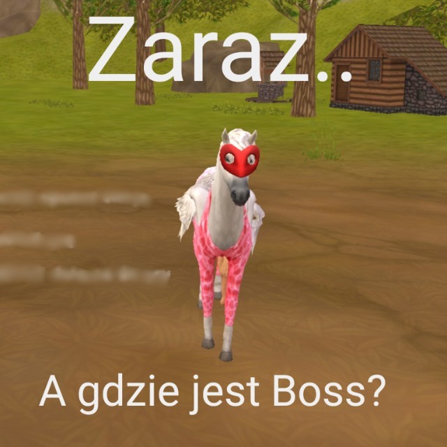 Moje memy #2 | sameQuizy