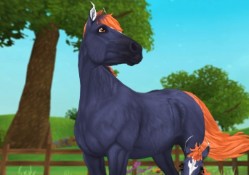 Co wolisz - konie magiczne i czasowo ograniczone sso | sameQuizy