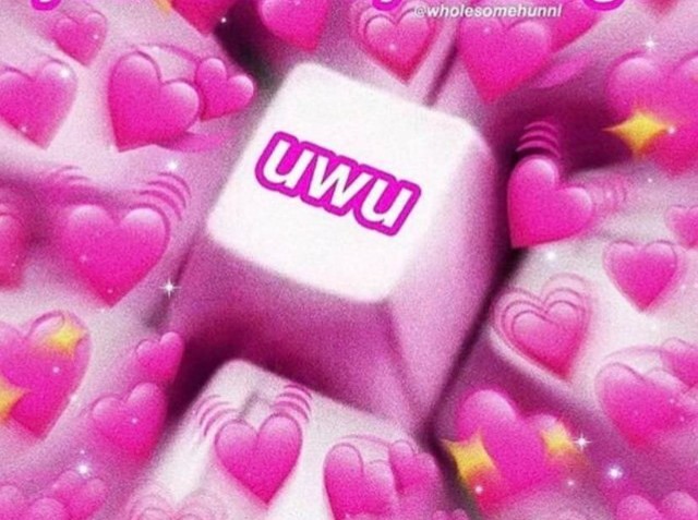 UwU | sameQuizy