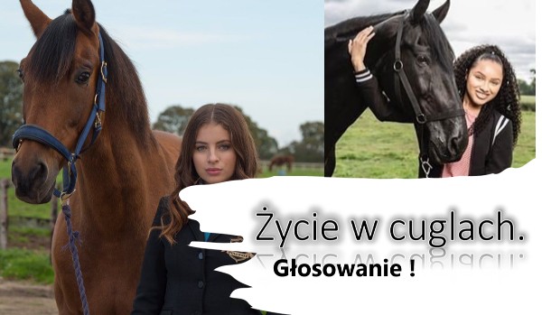 Życie w cuglach. Głosowanie! | sameQuizy