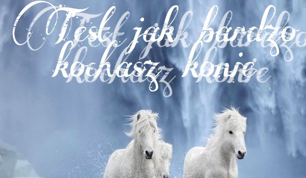 Jak bardzo kochasz konie | sameQuizy