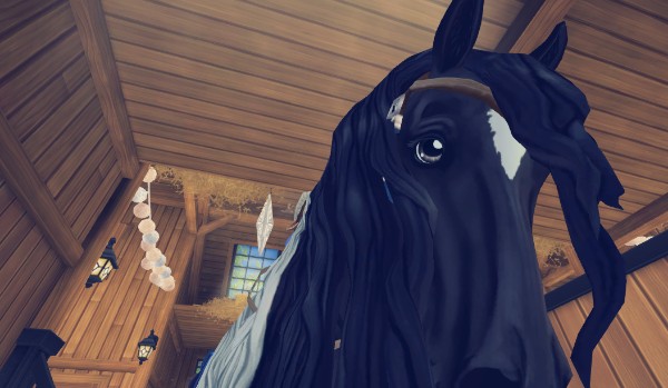 MILONERZY SSO MEGA EASY | sameQuizy