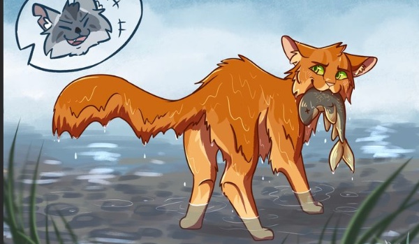 Surprise! #10 | sameQuizy