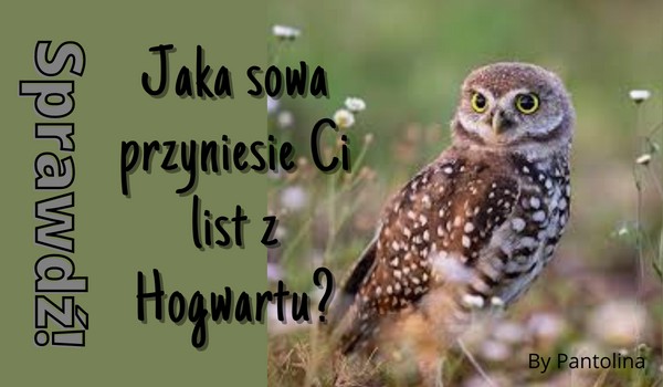 Jaka sowa przyniosła by Ci list z Hogwartu? | sameQuizy