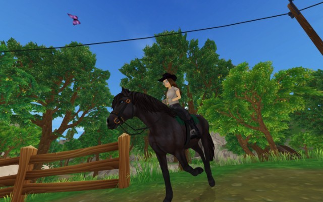 Star stable online głosowanie ładne/brzydkie zdj sso | sameQuizy