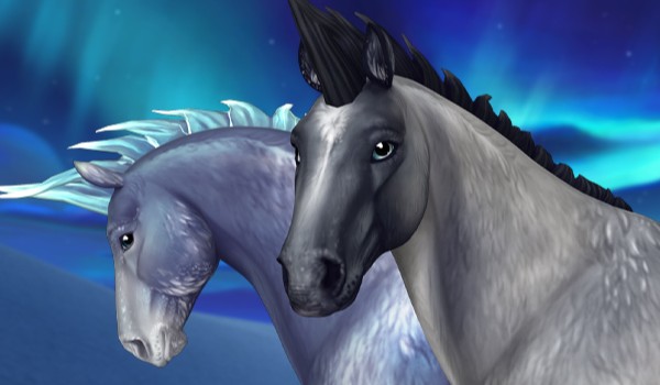 Czy rozpoznasz magiczne rasy koni w SSO? | sameQuizy