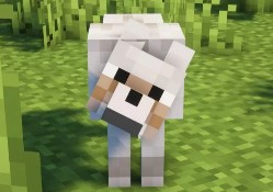 Jakie zwierzę w Minecraft jest najlepsze. | sameQuizy