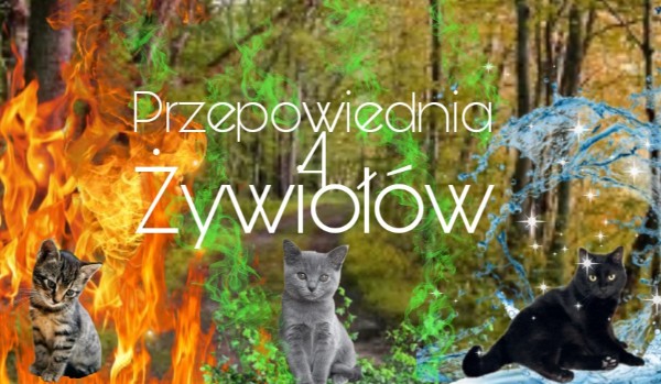 Przepowiednia 4 Żywiołów/ #3 | sameQuizy