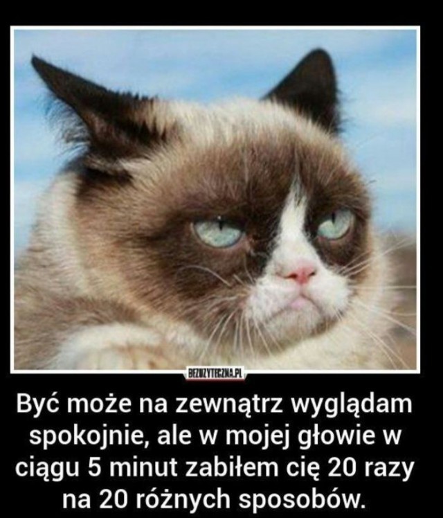 Losowe Memy jakie znalazłam w Internecie pt.3:D | sameQuizy