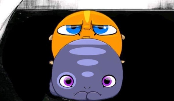 jaka kulka jesteś? | sameQuizy