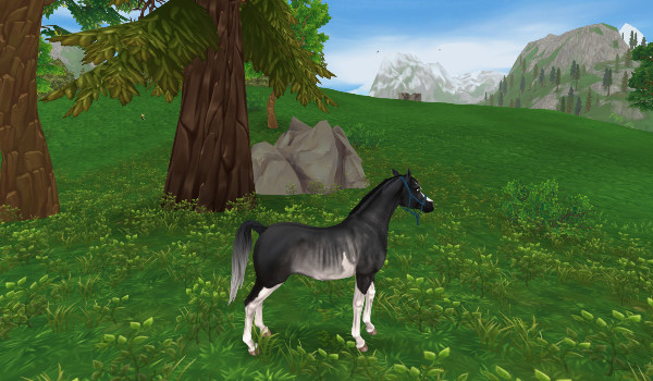 Zobacz Konie Z Star Stable Online (SSO) | sameQuizy