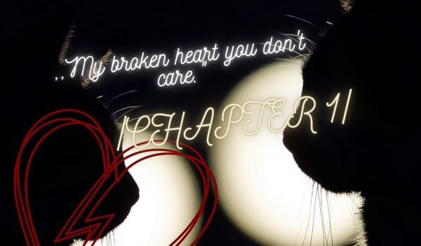 ,,My broken heart you don't care." |CHAPTER 1| sameQuizy