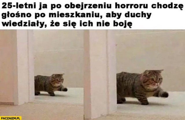 Rel czy mem-memy o horrorach . | sameQuizy