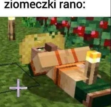 kit czy hit czy kit czy hit memy o minecraft | sameQuizy