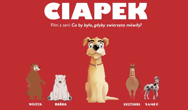 Pies Ciapek | sameQuizy