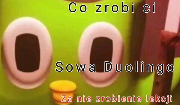 Co zrobi ci Sowa Duolingo za nie zrobienie lekcji | sameQuizy