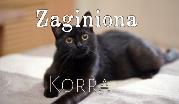 Zaginiona Korra ~Prolog~ | sameQuizy
