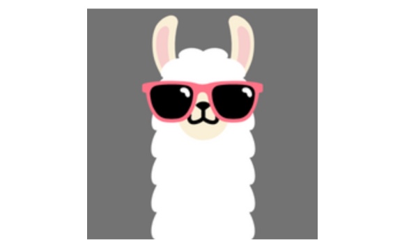 Bitwa profili cz. 2 | sameQuizy