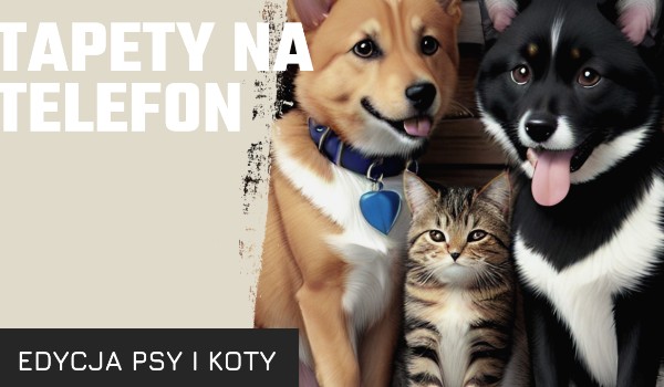 Tapety na telefon edycja Psy i Koty! | sameQuizy