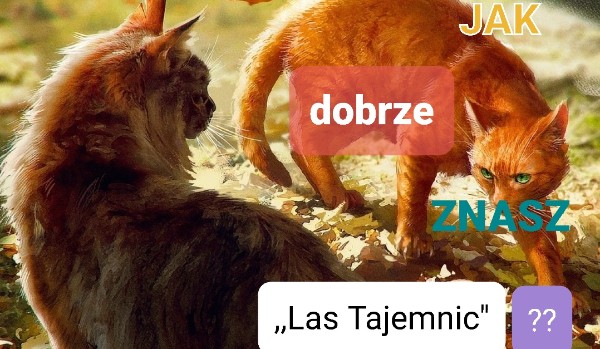 JAK DOBRZE ZNASZ ,,Las Tajemnic" WOJOWNICY? | sameQuizy