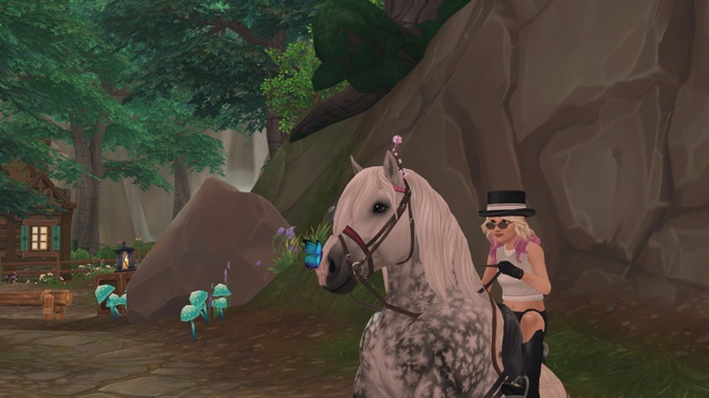 Moje zdjęcia z sso part 5 | sameQuizy