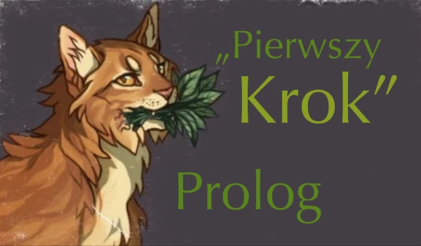 „Pierwszy Krok”, Prolog. | sameQuizy