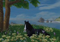 Które zdjecie ładniejsze?=|SSO|= | sameQuizy