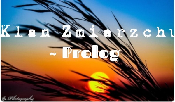 Klan Zmierzchu ~ Prolog | sameQuizy