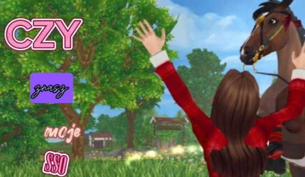 Czy znasz moje sso? | sameQuizy