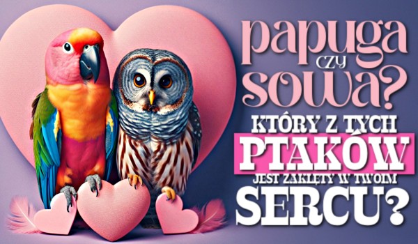 Papuga czy Sowa? Który z tych ptaków jest zaklęty w Twoim sercu? | sameQuizy