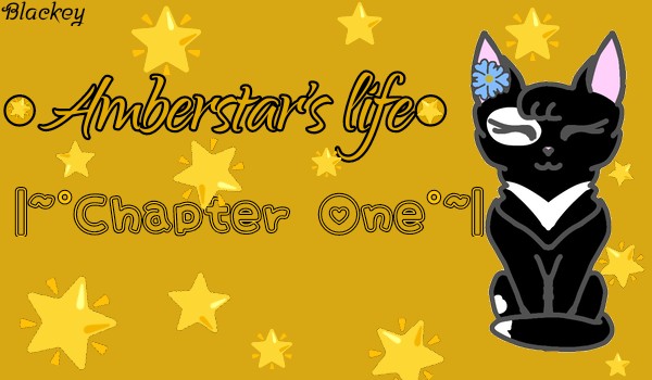 •Amberstar's life• |~°Chapter one°~| sameQuizy