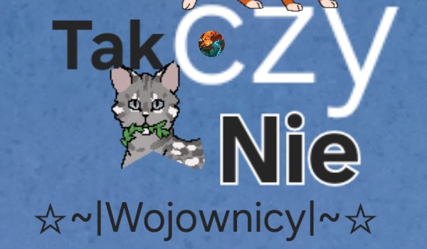 Tak czy Nie? |Wojownicy | sameQuizy
