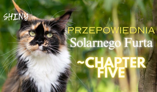 •Przepowiednia Solarnego Futra• |Chapter Five| sameQuizy