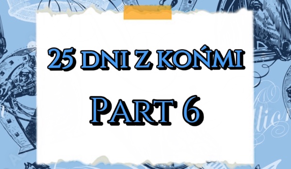 25 dni z końmi. Dzień 6. | sameQuizy