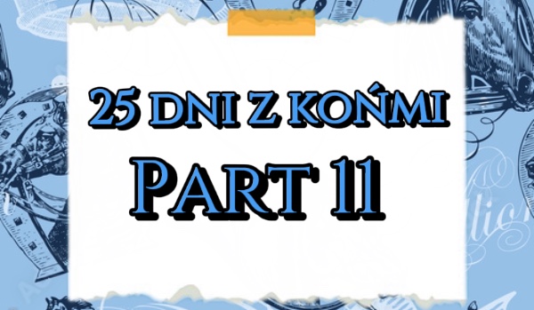 25 dni z końmi. Dzień 11. | sameQuizy
